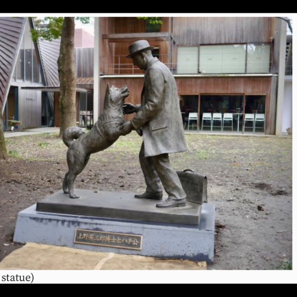 Media | Nwt Dvd Hachi A Dogs Tale Based On A True Story | Poshmark